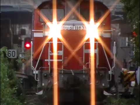 「天理臨」DD51牽引24系寝台車 - YouTube