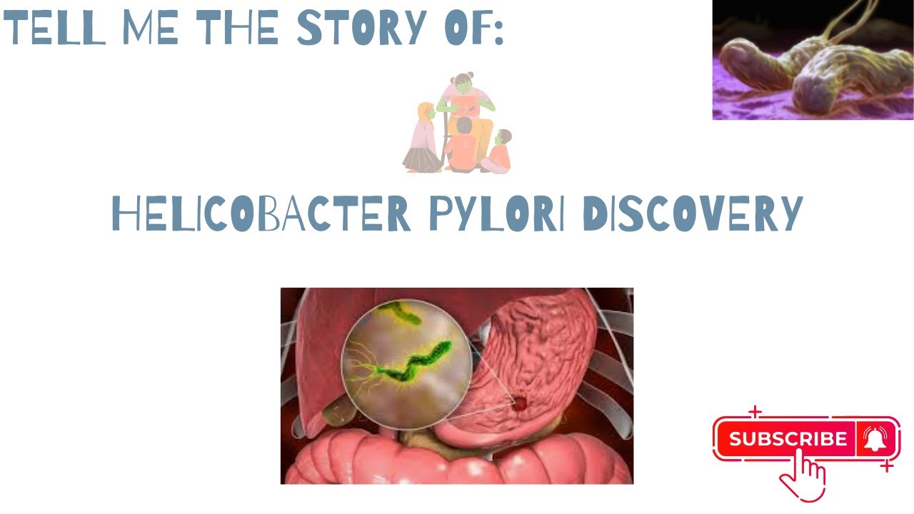 the story of h pylori discovery - YouTube