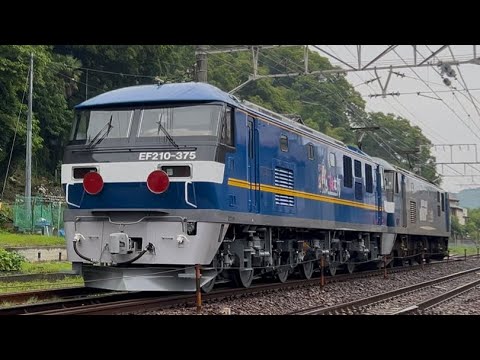 2025/6/3 6:30 不動尊踏切付近 8860列車通過【JR貨物 EF210-375】 - YouTube