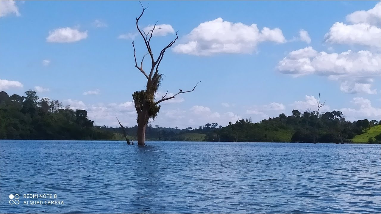 Rio Tocantins.. pescando na barragem de Tucuruí - YouTube