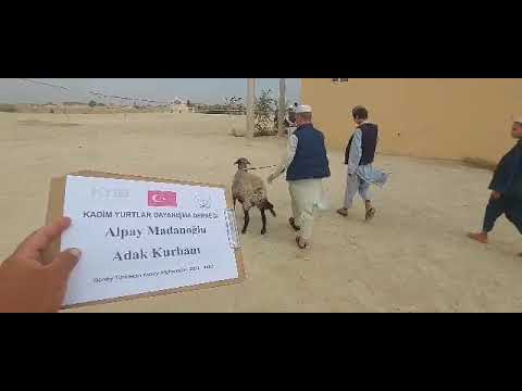 5 10 2023 Alpay Madanoğlu Adak kurbanı 1