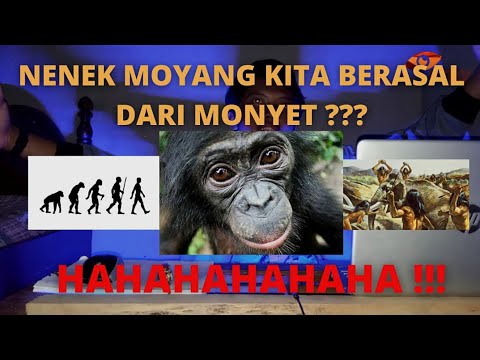 Benarkah Manusia berasal dari Kera? - YouTube