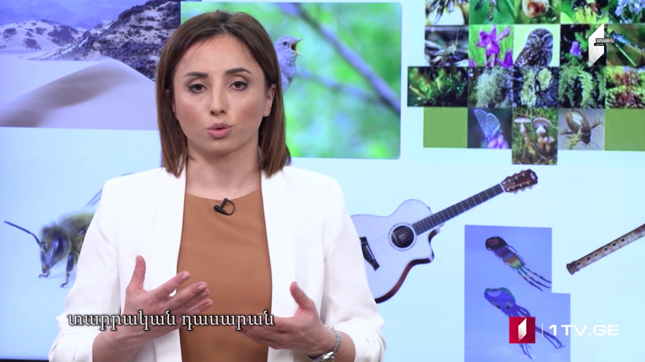 Բնություն տարրական դասարան 01 06 2020 ტელესკოლა հեռուստադպրոց Youtube