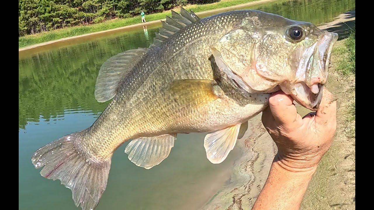 Drought and Scunge fishing - YouTube