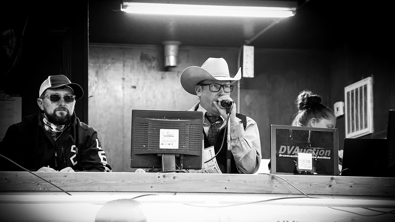 2024 Lazy Black Diamond Ranch Sale Montage! - YouTube