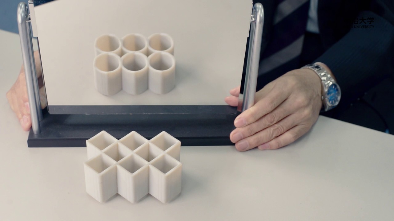 Optical Illusionist by SUGIHARA Kokichi | Incredible Senseis at Meiji ...
