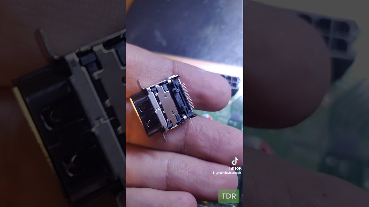 Roach Infested Xbox Series X - YouTube