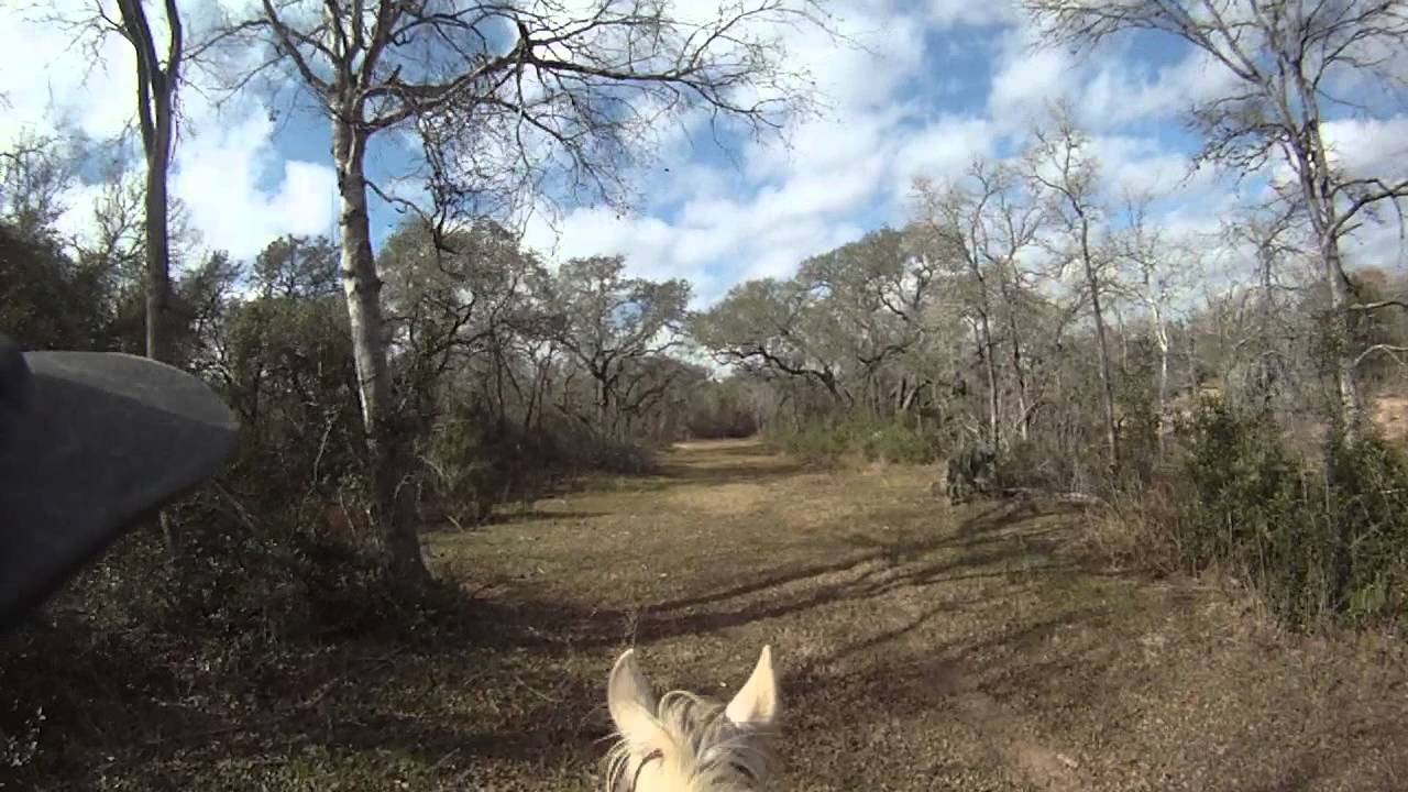 Trail Riding at Lazy F Ranch: 04 Lazy F 1-4-14 - YouTube