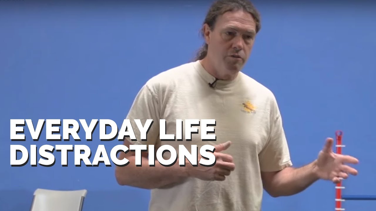 Everyday Life Distractions - YouTube