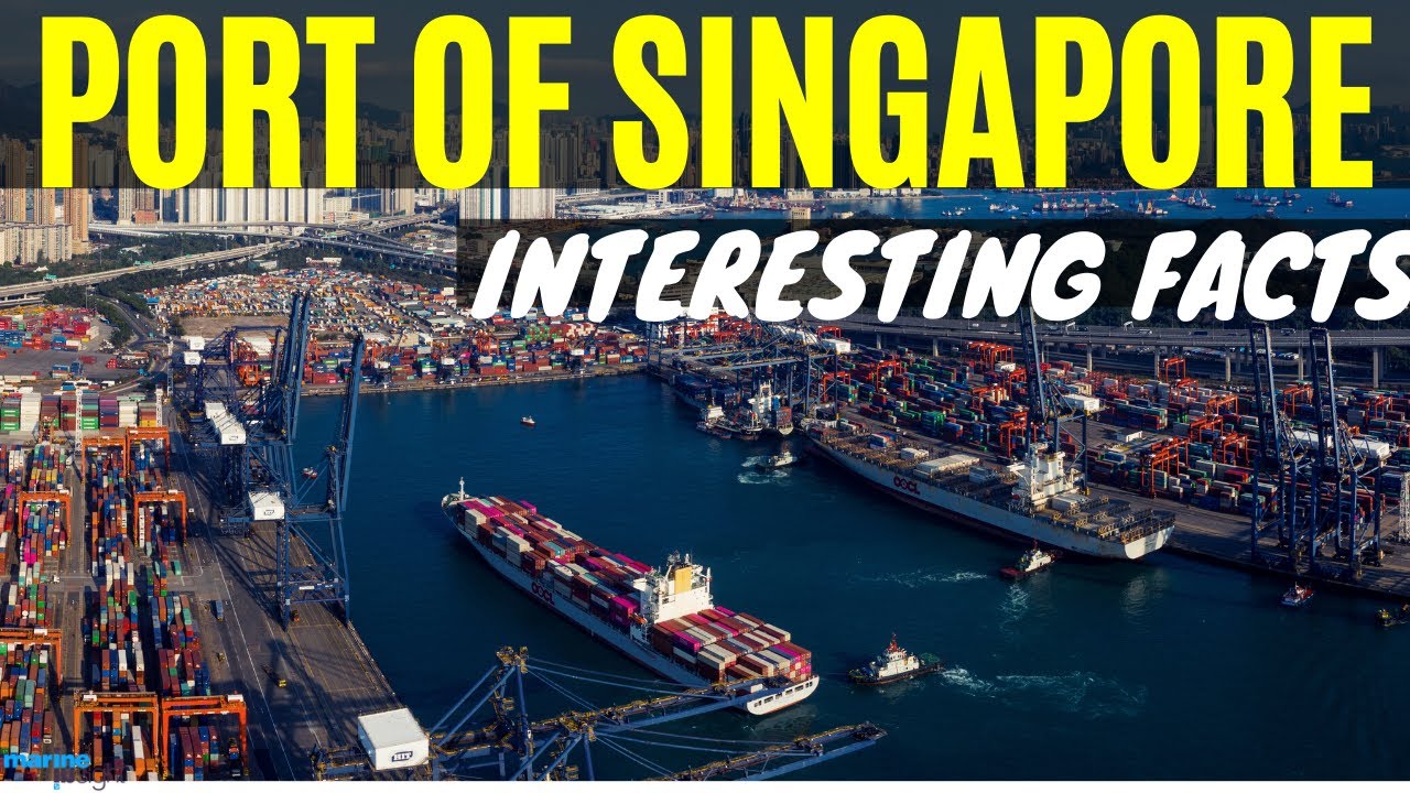 PORT OF SINGAPORE Interesting Facts singapore singaporeport PSA port-of-singapore-interesting-facts-singapore-singaporeport-psa