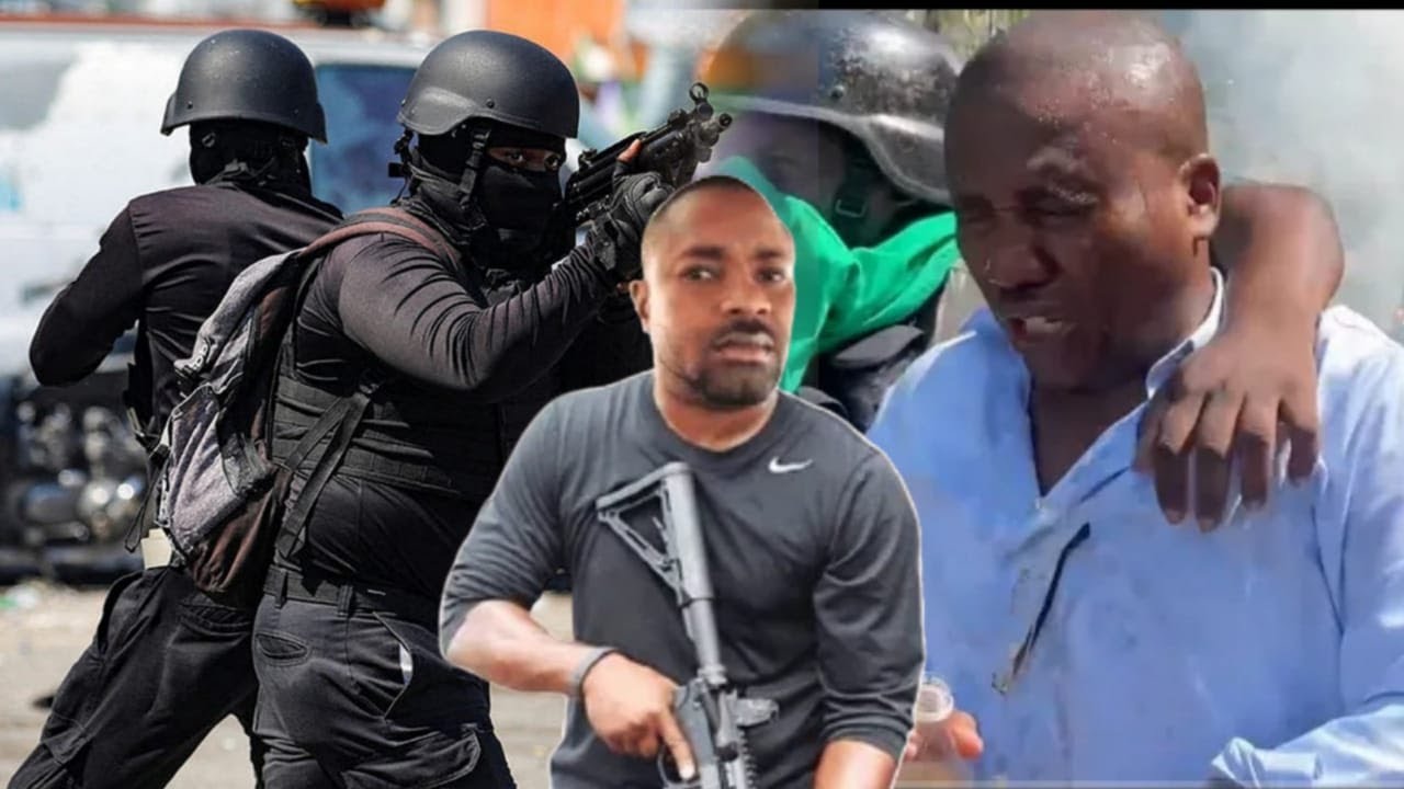 Sa fenk tonbe.krisla atake Claude Joseph, Moise Jean Charles nan mawon ...