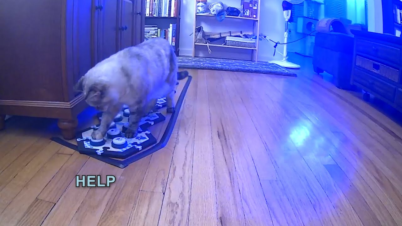 help-is-now-a-helping-verb-youtube