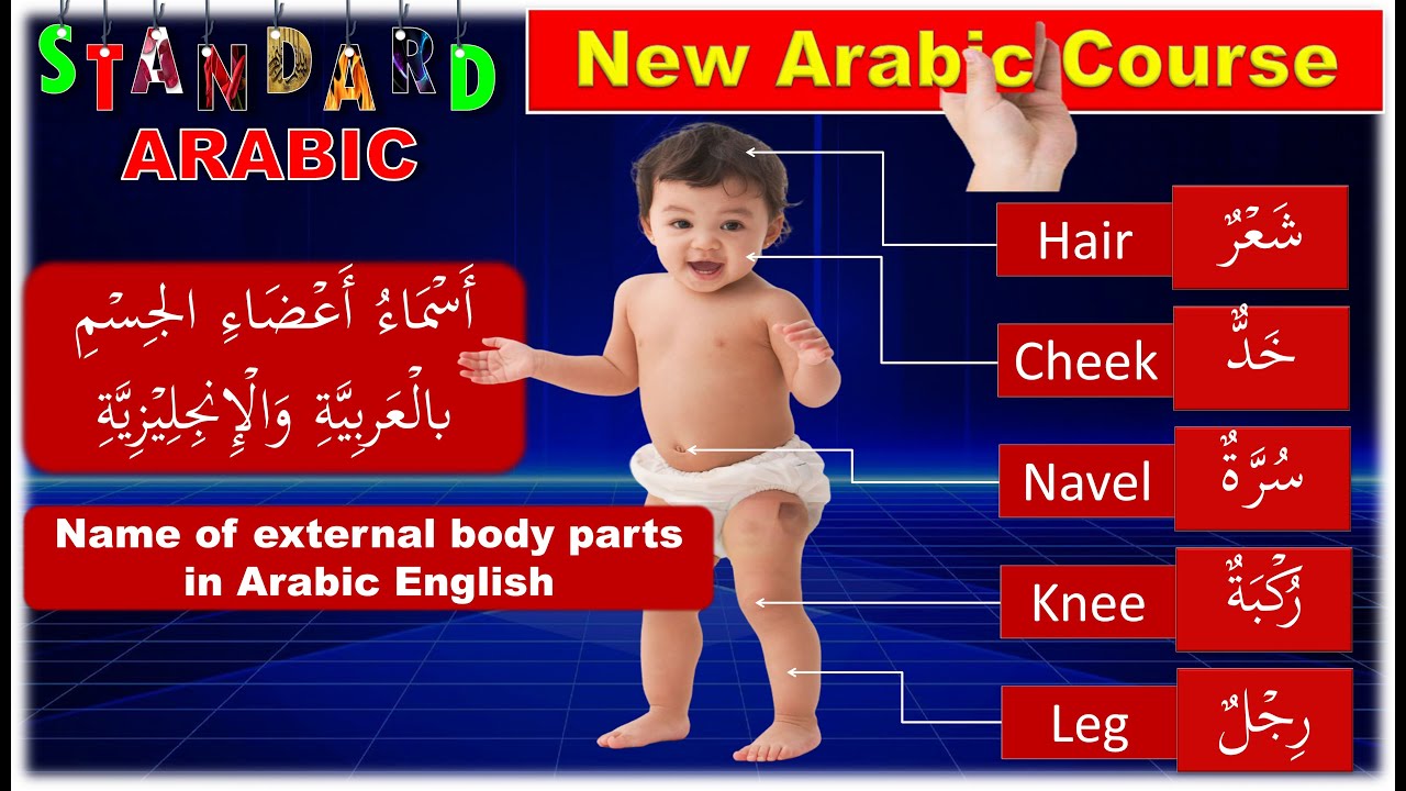 Body parts names in Arabic English | Basic Arabic words for beginners ...