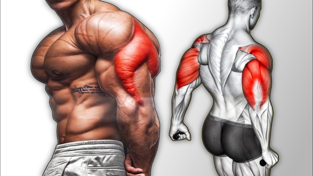 Most Effective Triceps Workouts at Gym | Best Tricep exercises - YouTube