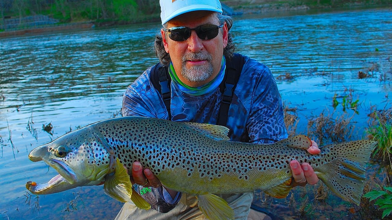 30 Inch Brown Trout Fly Fishing on the White River Arkansas - YouTube
