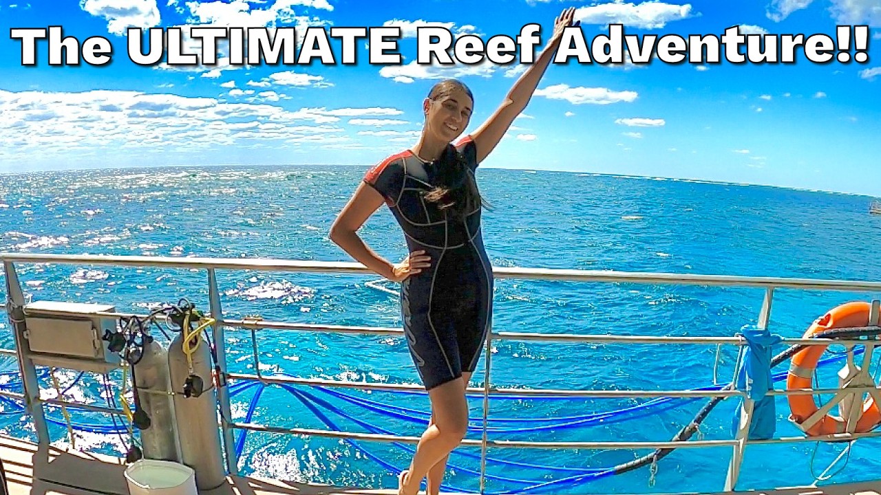 DIVING THE GREAT BARRIER REEF!! 🤿 | Cairns, Australia | Norwegian Sun ...