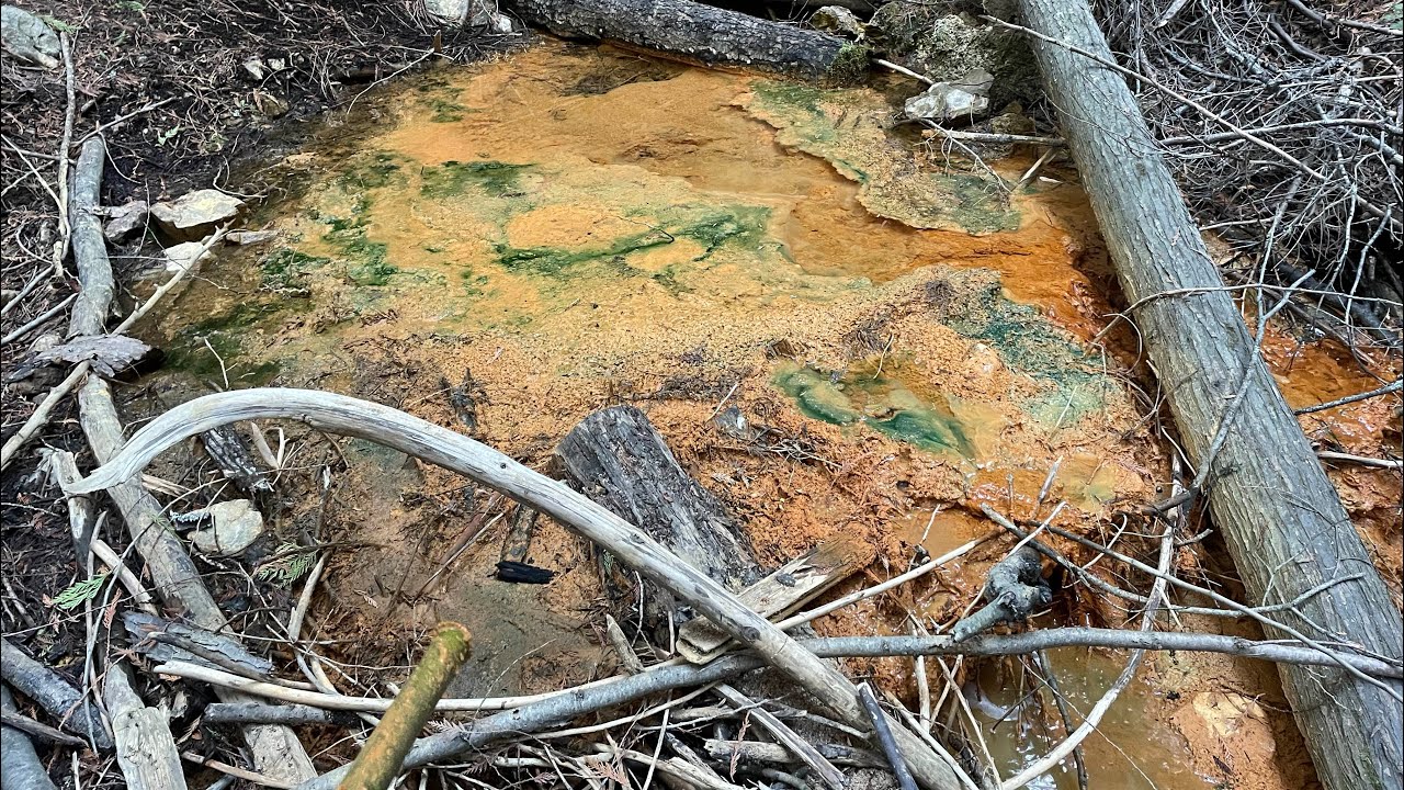Hiked to Angel Springs in Kelowna - YouTube