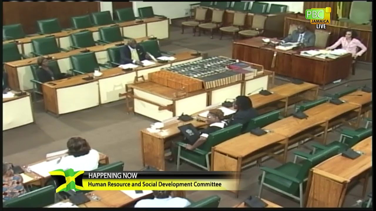 Human Resource and Social Development Committee - June 12, 2019 - YouTube