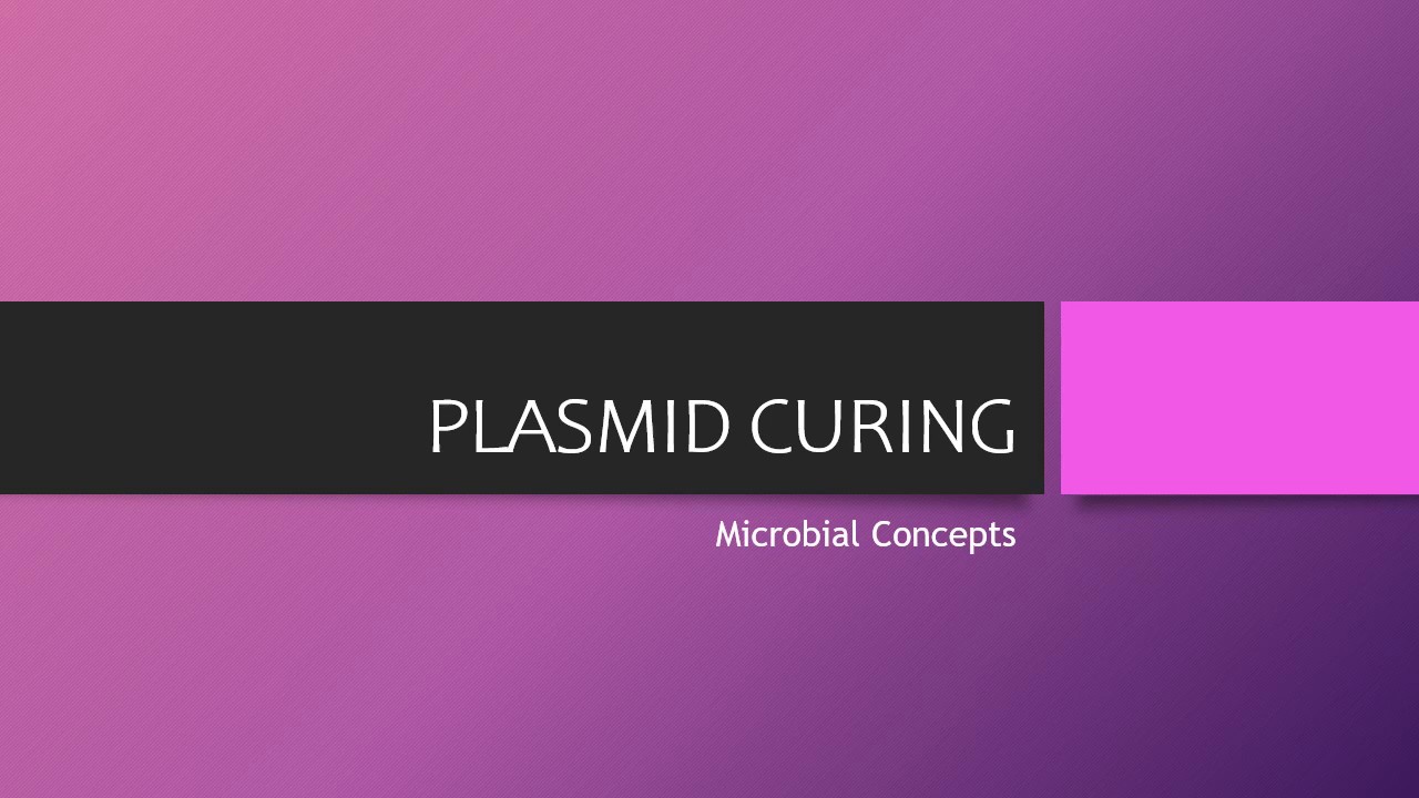 PLASMID CURING | Microbiology | MOLECULAR BIOLOGY - YouTube
