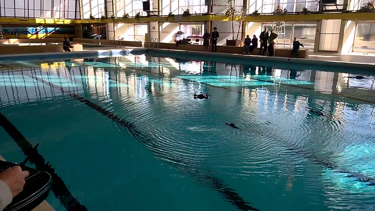 Mini Dex piscine Meaux - YouTube