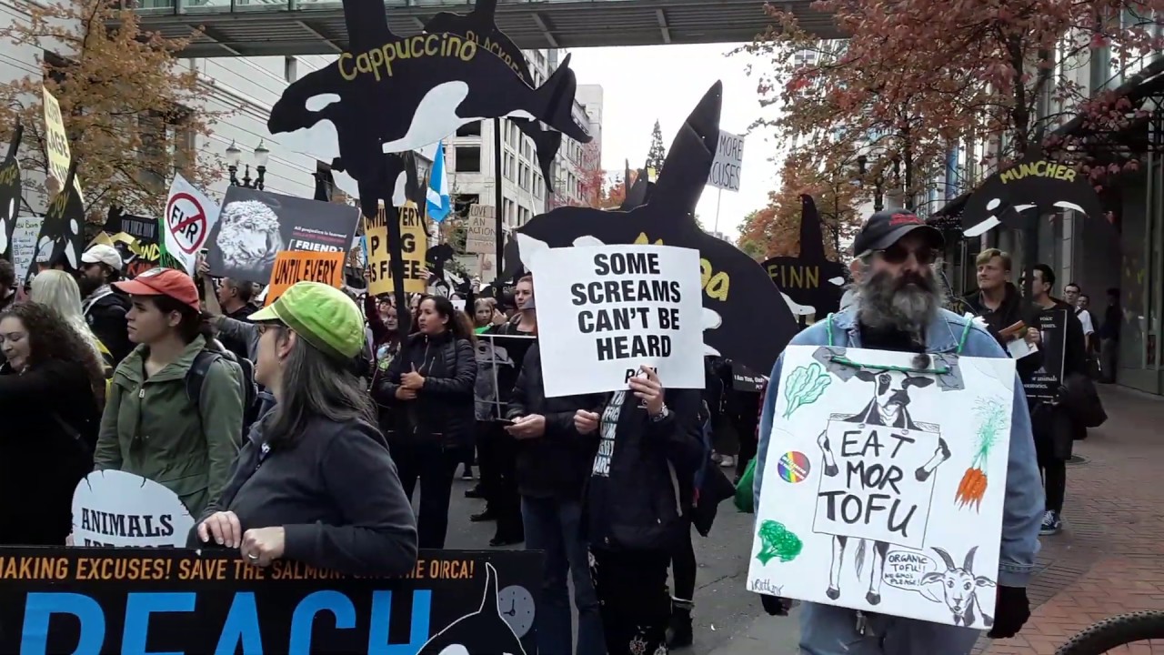 Portland oregon animal rights protest 1 - YouTube