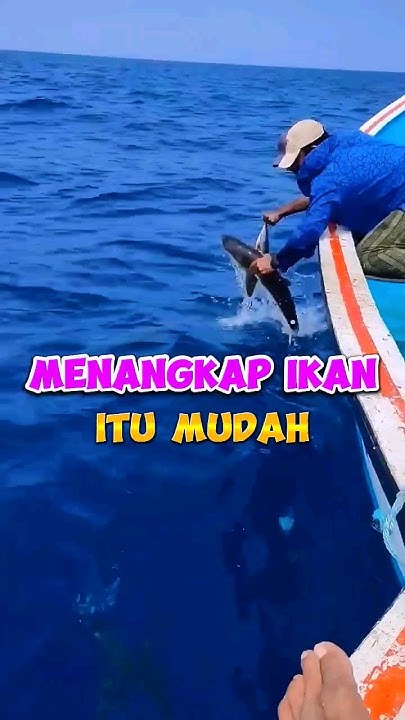 Cara Menangkap Ikan Dengan Mudah - YouTube