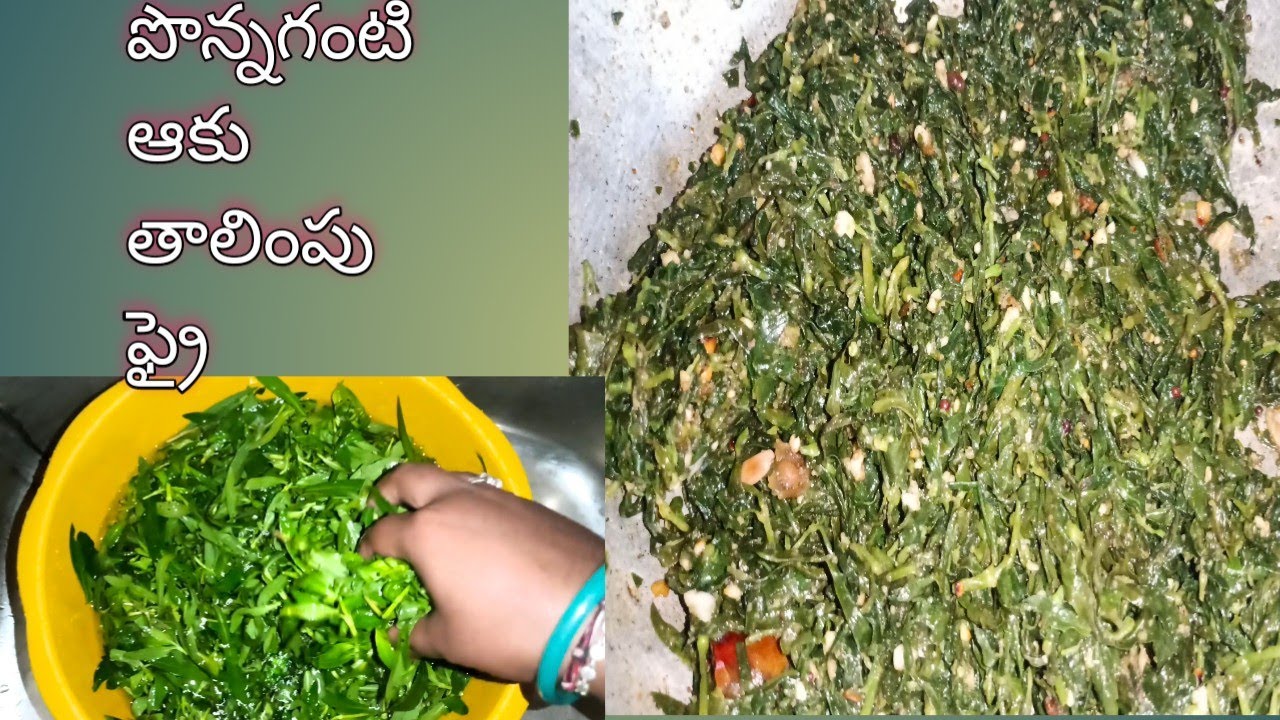 Ponnaganti aaku fry &పొన్నగంటి ఆకు ఫ్రై &lavanya telugu cooking channel ...