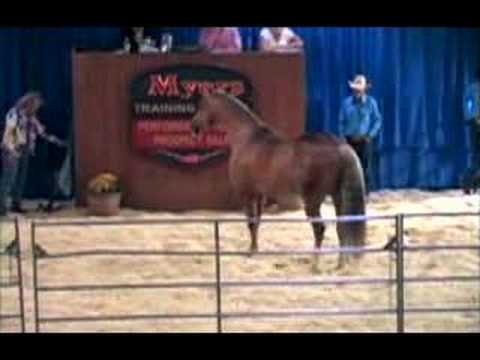 Frenchmans Guy - YouTube