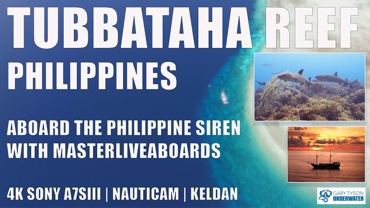 4K Tubbataha Reef, Philippines. Scuba diving aboard the Philippines ...