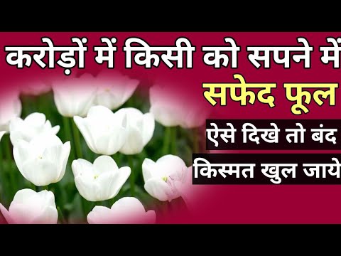 Sapne Me Safed Phool Dekhna | Sapne Mein Safed Phool Dekhne Se Kya Hota ...