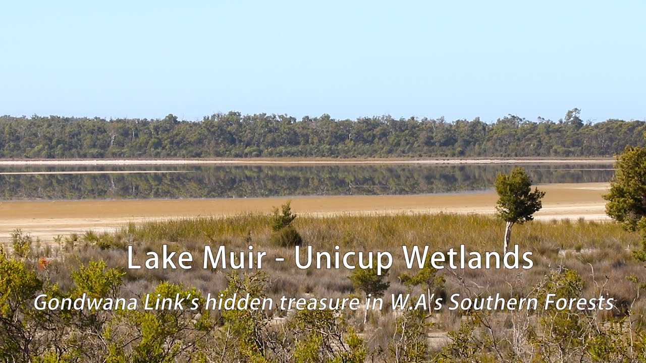 Lake Muir Unicup Wetlands - YouTube