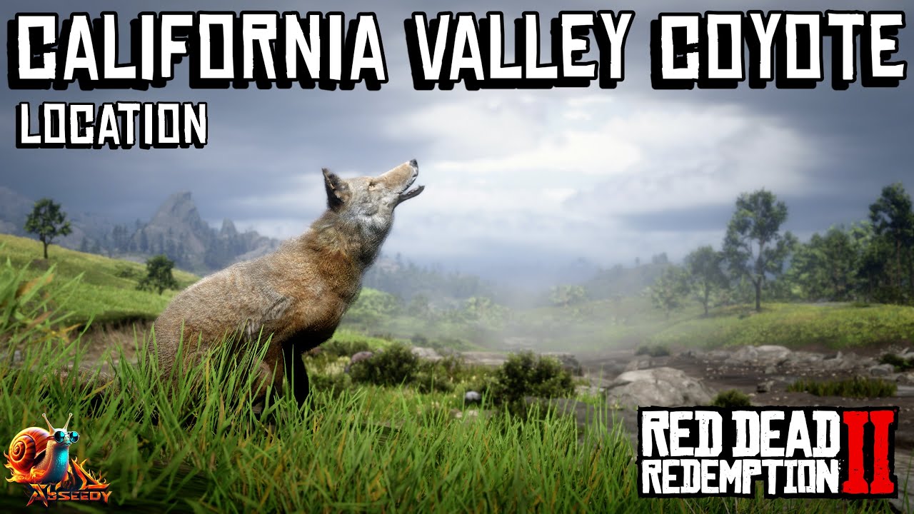 California Valley Coyote Location - Red Dead Redemption 2 - YouTube