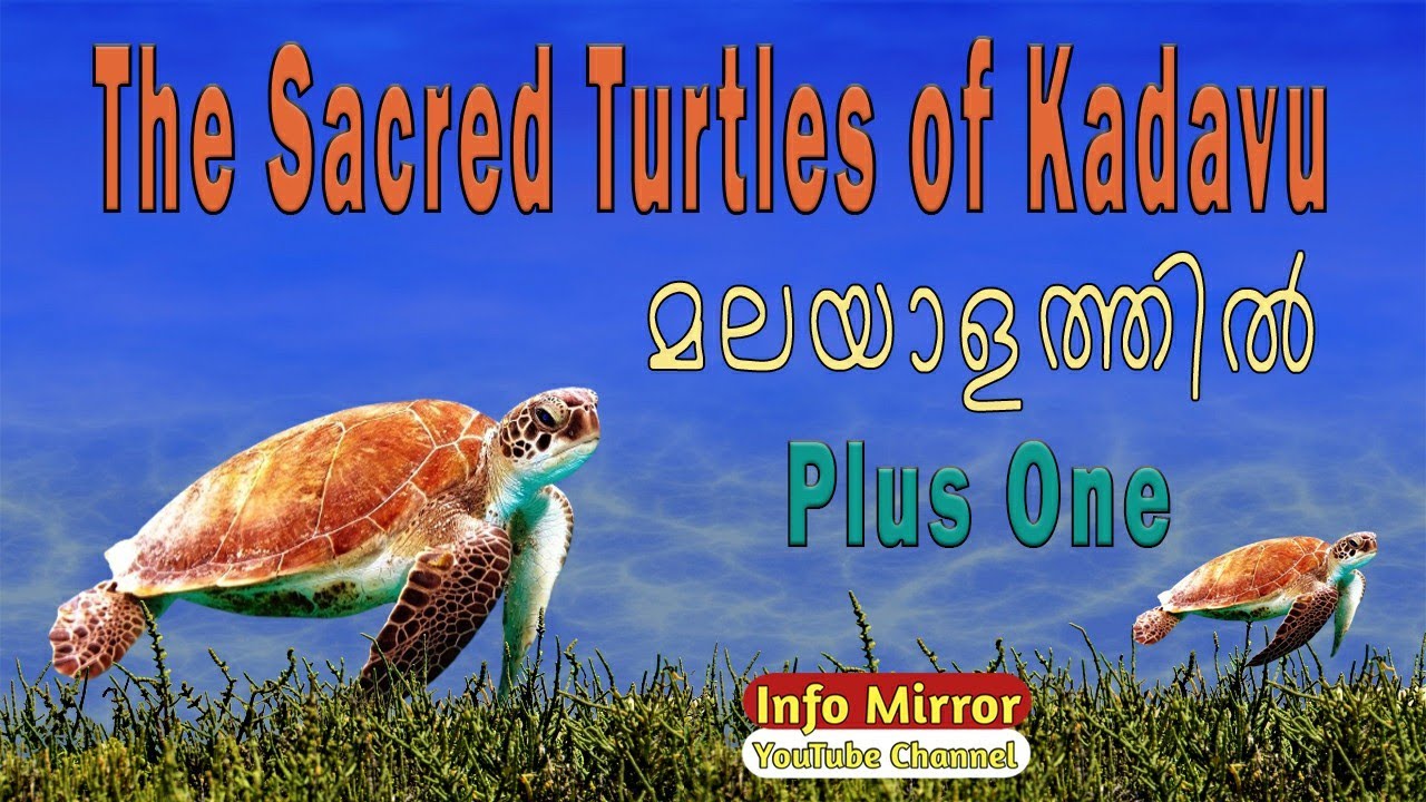 The Sacred Turtles of Kadavu | Malayalam Translation & Explanation ...