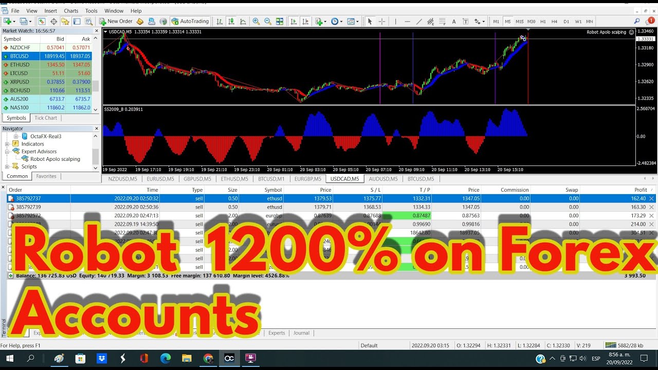Forex Robot to earn High Returns 1200% on Forex Accounts (all work is ...