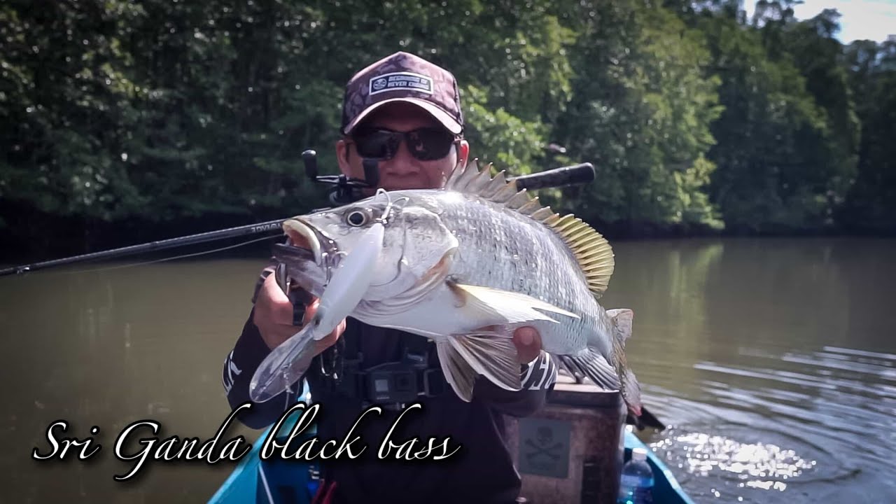 MEMBURU KANAI SRI GANDA PART 1 - YouTube