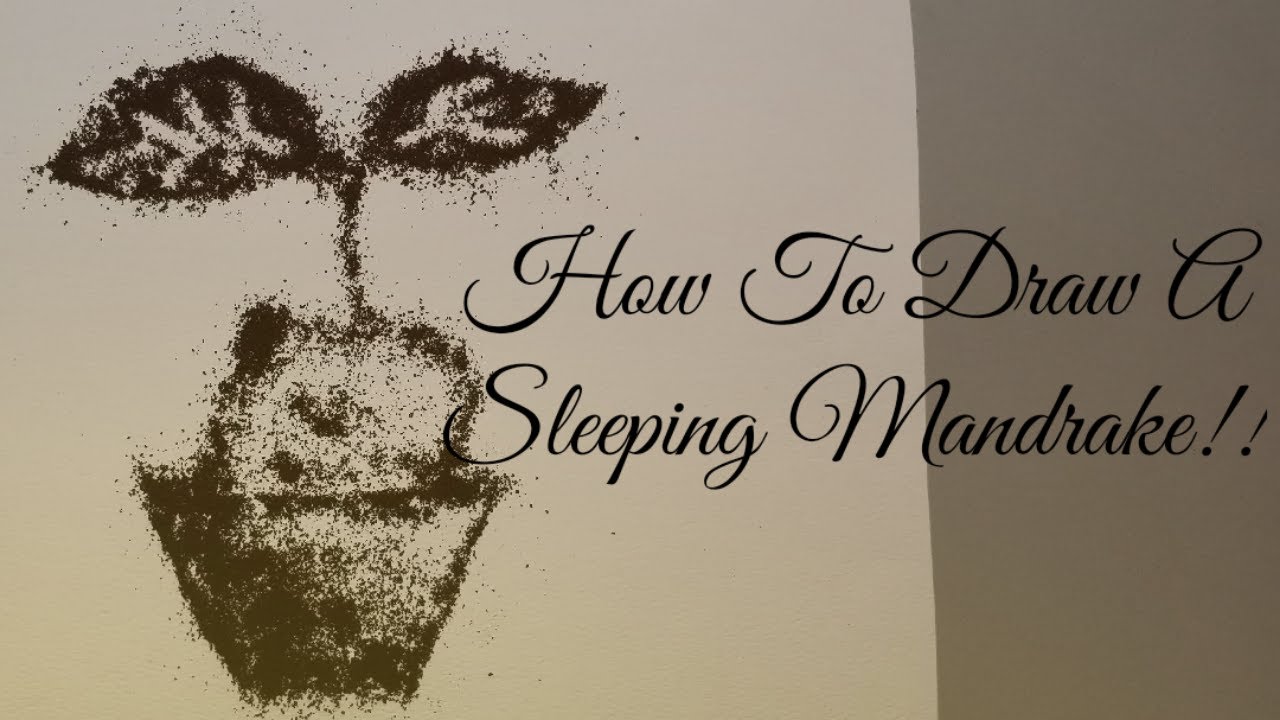 How to draw: Sleeping Mandrake🌱 (inspired by the Mandrakes from Harry ...