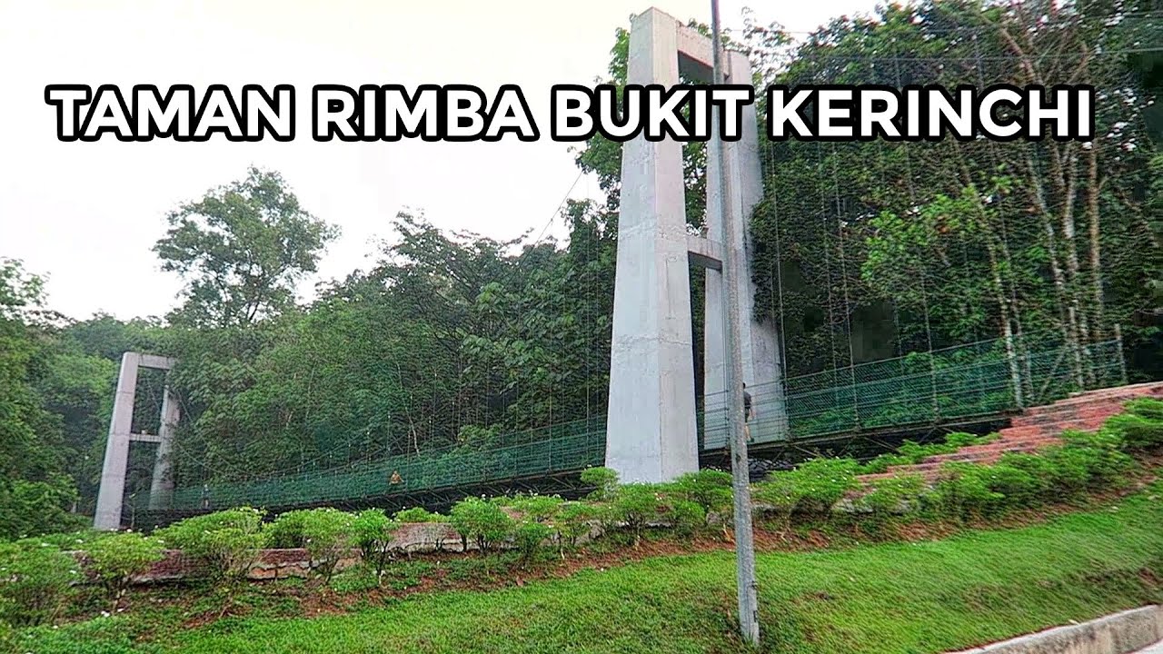 Hike @ Taman Rimba Bukit Kerinchi (Speed Ramp Edition) - YouTube