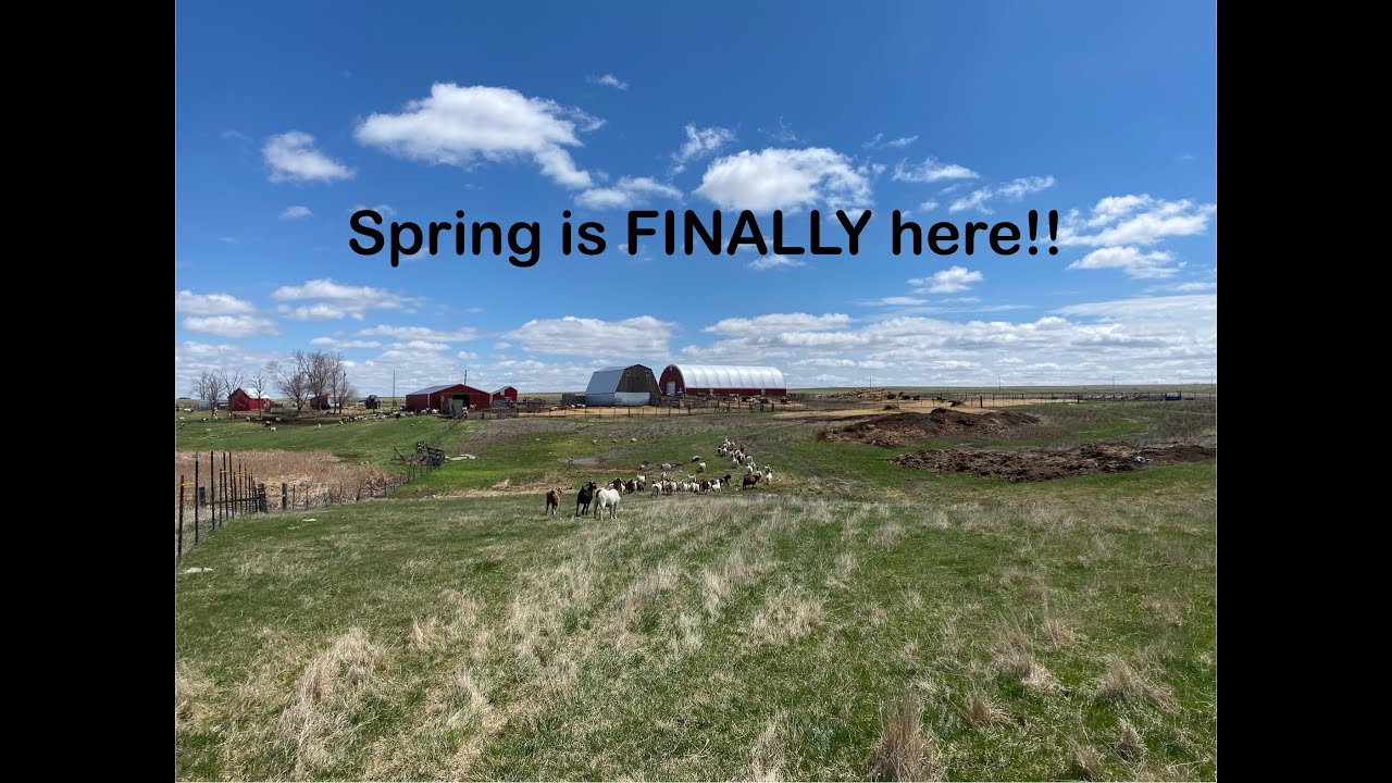 Spring is finally here! - YouTube