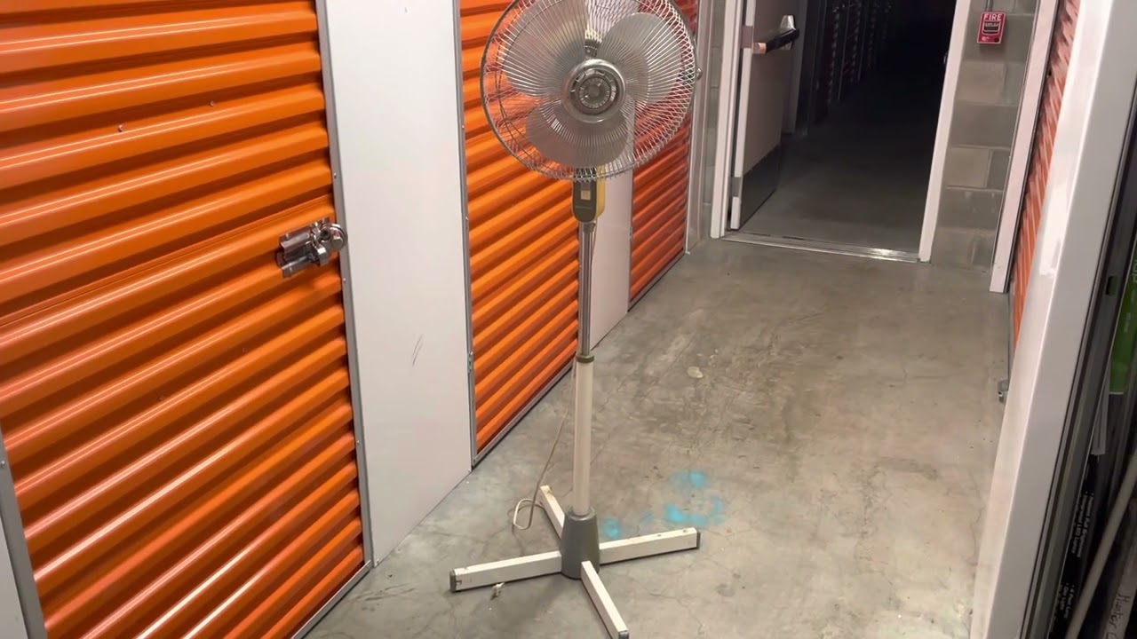 NEW FAN: Windmere Pedestal Fan 16” - YouTube