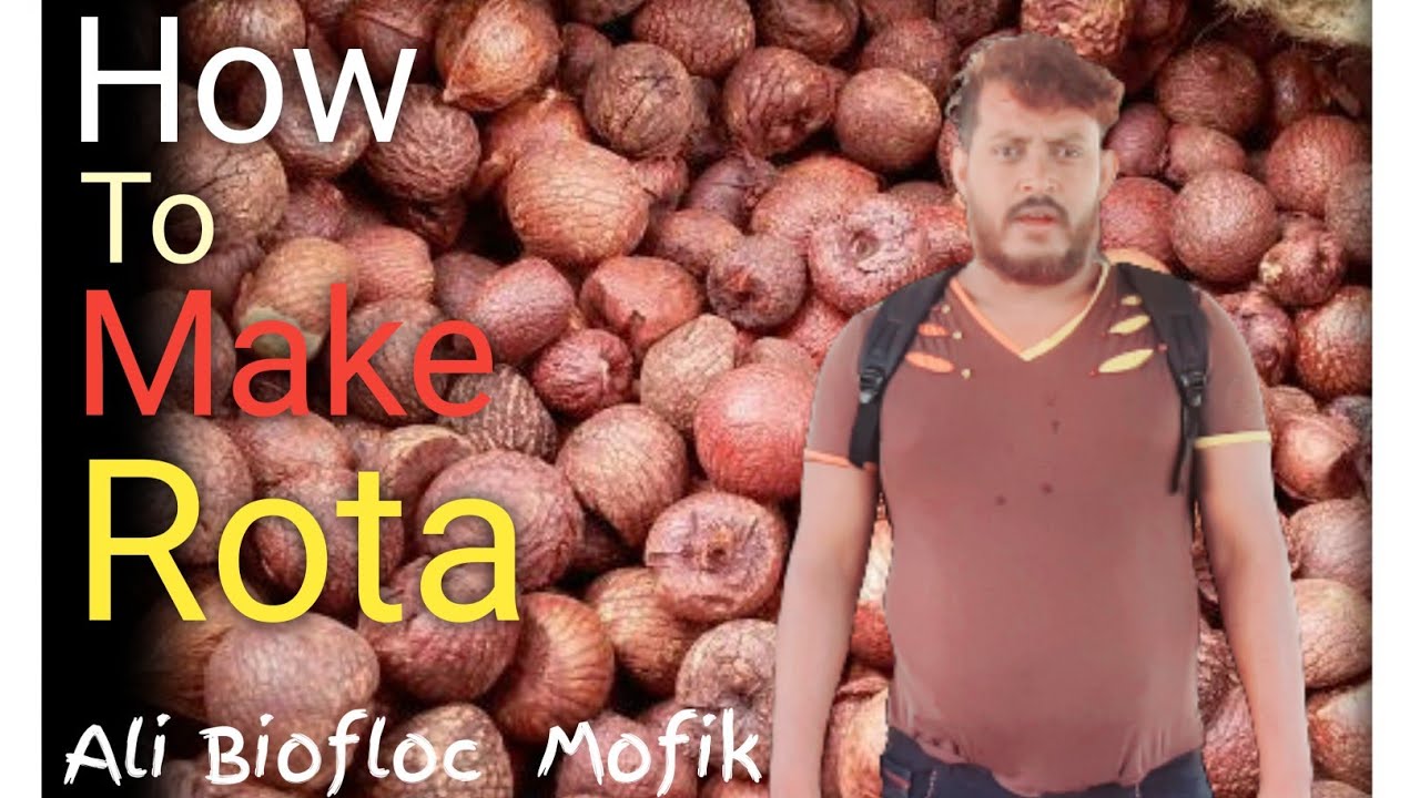 How to Make Rota 🌴🌴//By Ali Biofloc Mafik//video no 5 - YouTube