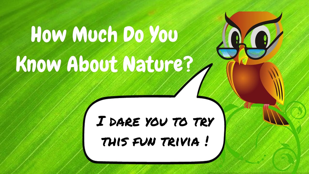 How Much Do You Know About Nature? 🤔🤔 Try this Fun Trivia About Nature ...