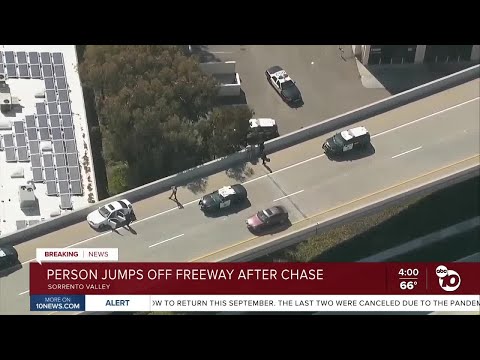 Person jumps off freeway following police chase - YouTube