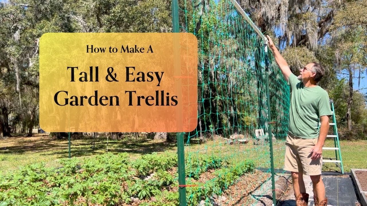 HOW TO BUILD A TALL & EASY TRELLIS FOR YOUR GARDEN. - YouTube