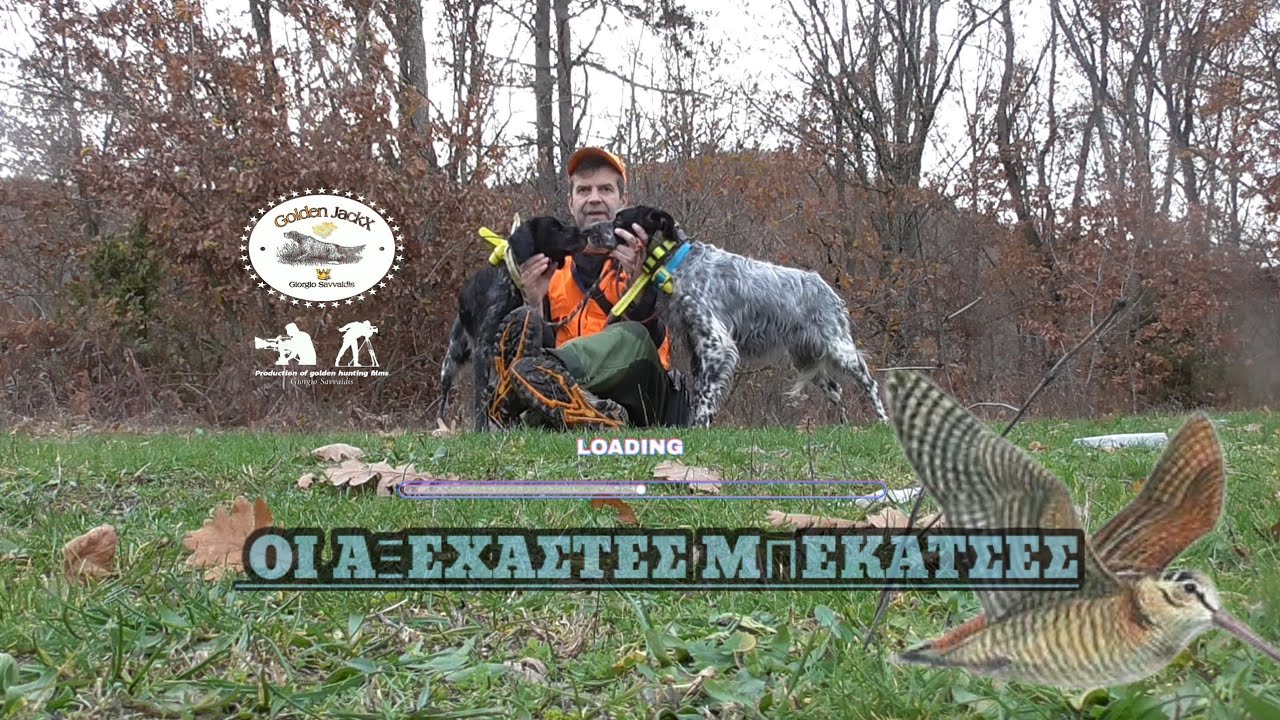 Κυνήγι μπεκάτσας "ΟΙ ΑΞΕΧΑΣΤΕΣ ΠΟΥ ΘΥΜΟΜΑΣΤΕ ΓΙΑ ΠΑΝΤΑ" - YouTube