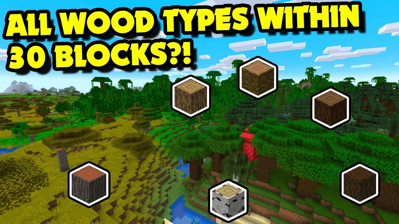 ALL WOOD TYPES At Spawn Seed | Within 30 Blocks From Spawn (Minecraft ...
