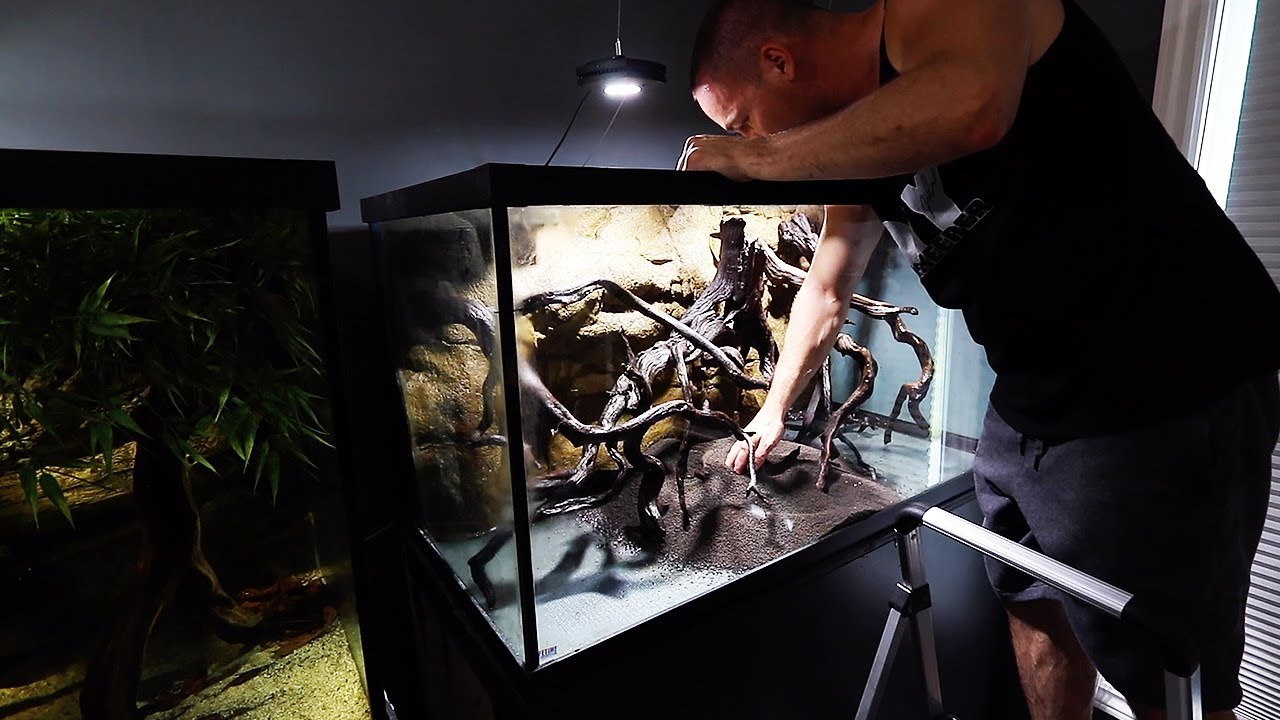 The NEW aquarium scape! The king of DIY - YouTube