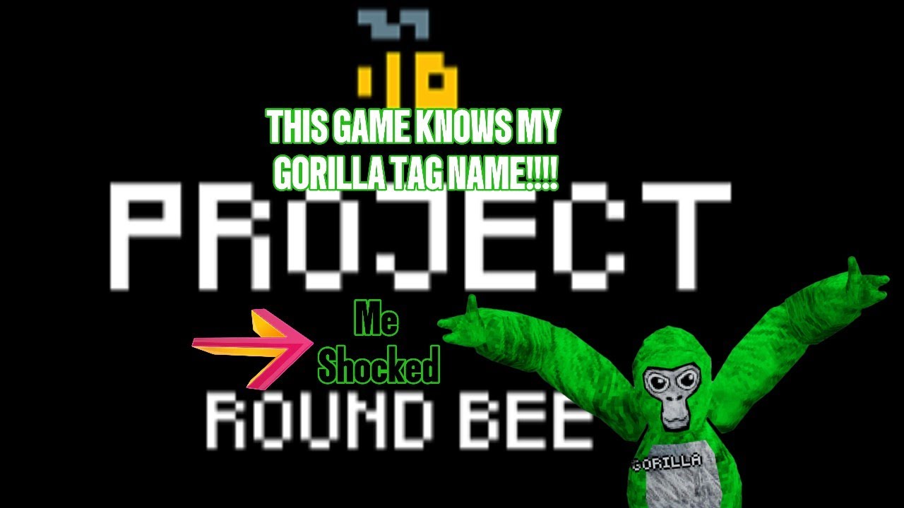 THIS GORILLA TAG COPY KNOWS YOUR OFFICIAL GORILLA TAG NAME!!!!! - YouTube