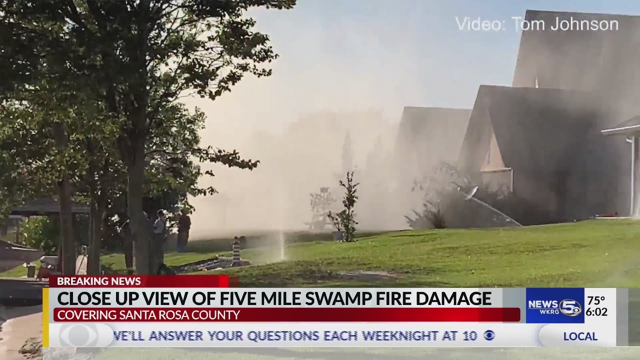 Close up view of five mile swamp fire damage - YouTube