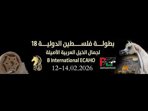Arabian Show - 18th Palestine B International Show (Day 3)