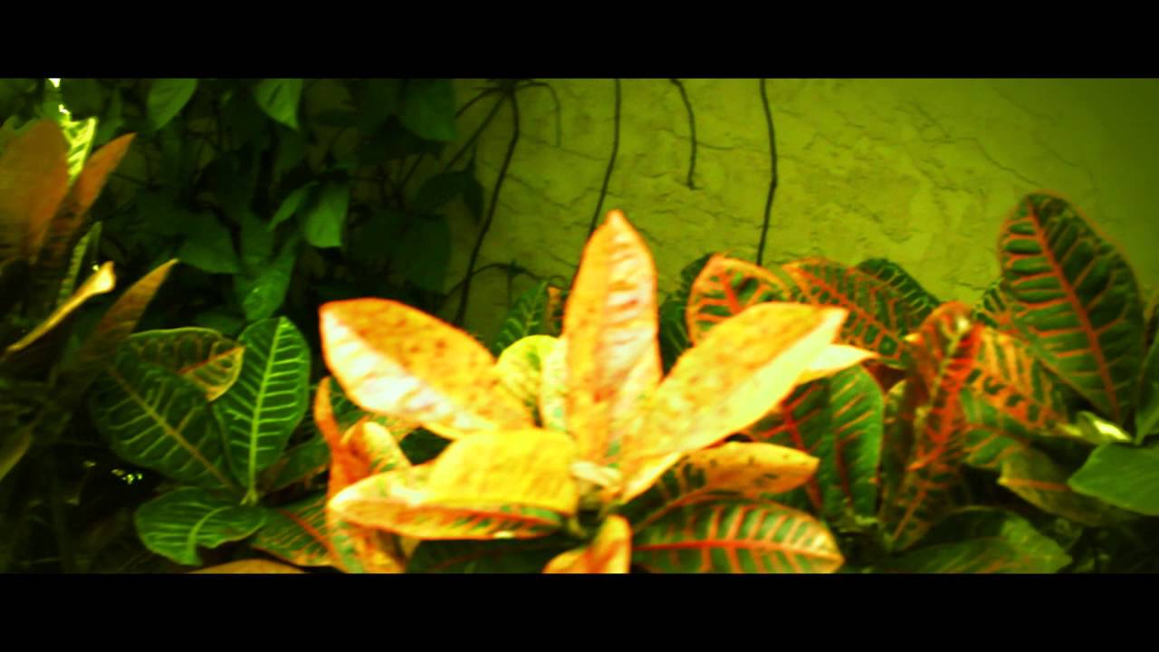 Its Warm Inside Youtube